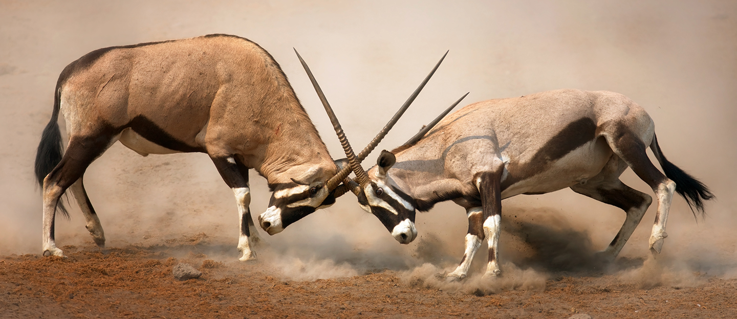 Can You Detect Weak Arguments? | Test Your Skills In Minutes ...